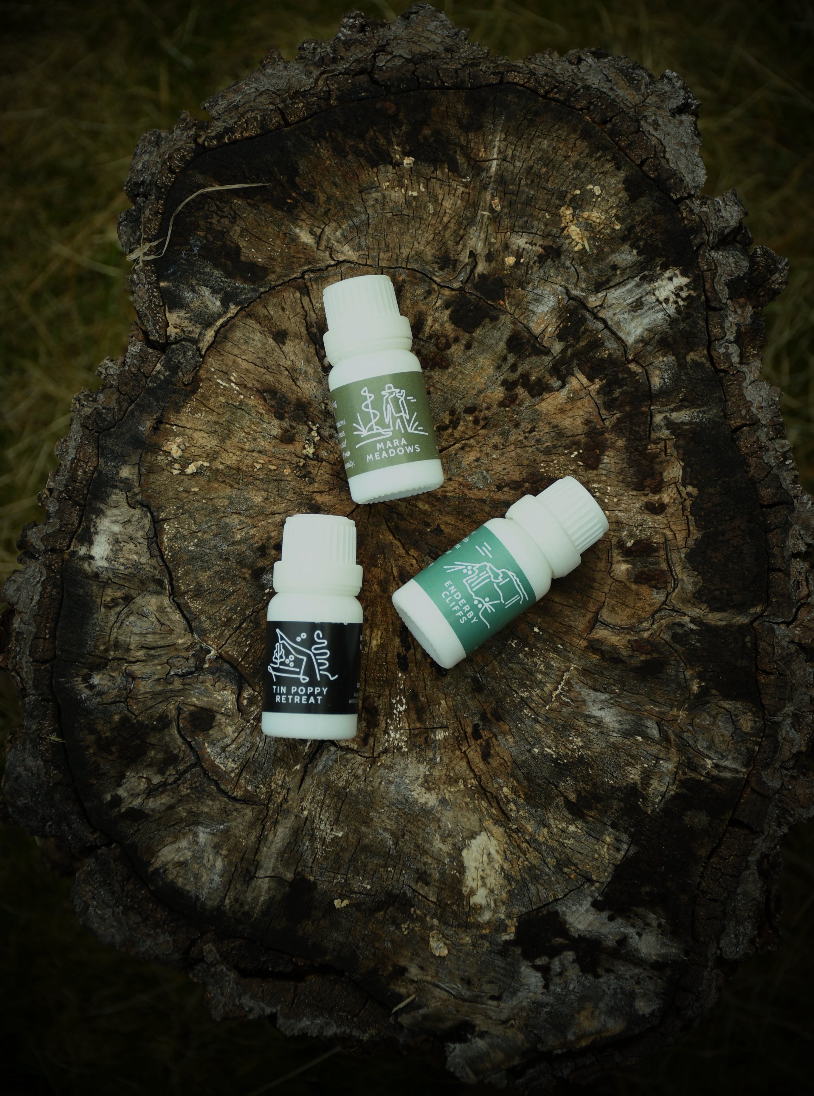 Tin Poppy Tea & Boutique ~ Shop unique teas, and eco conscious gifts